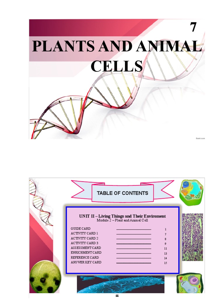 SCIENCE 7 - Plant & Animal Cells SIM | PDF | Endoplasmic Reticulum ...