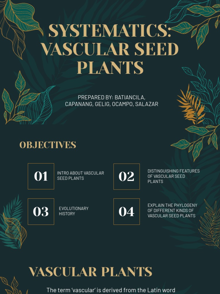 Angiosperms vs Gymnosperms Explained | PDF | Plants | Organisms