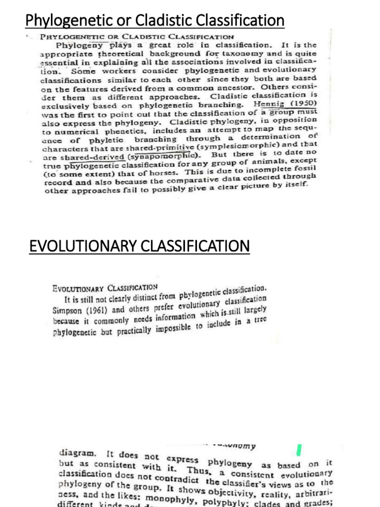 Phylogenetic or Cladistic Classification | PDF | Philosophy