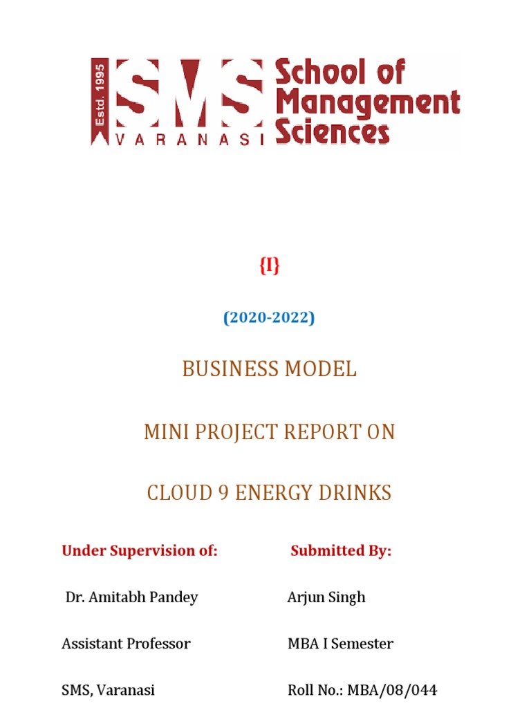 Arjun Singh 2 | PDF | Market Segmentation | Retail