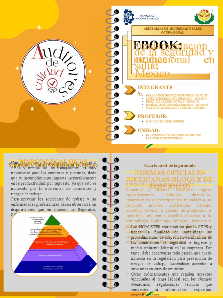 Tarea-E-Book-Ficha-2.6-Nom-006-V-D10 - Auditores de Calidad | PDF | México | Máquina elevadora