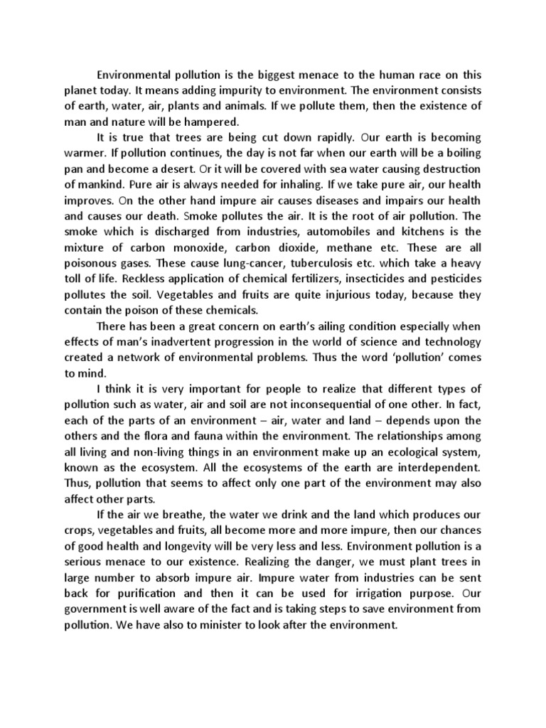 Reflection On Pollution | PDF | Natural Environment | Air Pollution