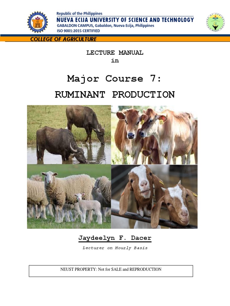 Ruminant Production | PDF | Cattle | Dairy Cattle