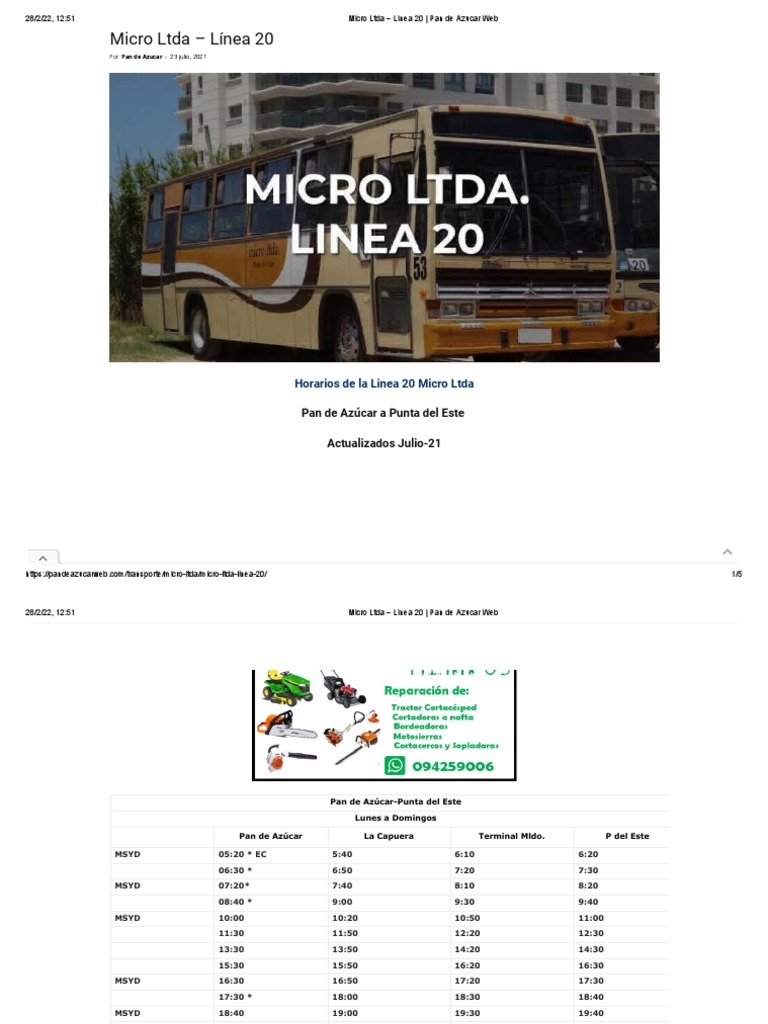 Micro Ltda - Línea 20 - Pan de Azucar Web | PDF