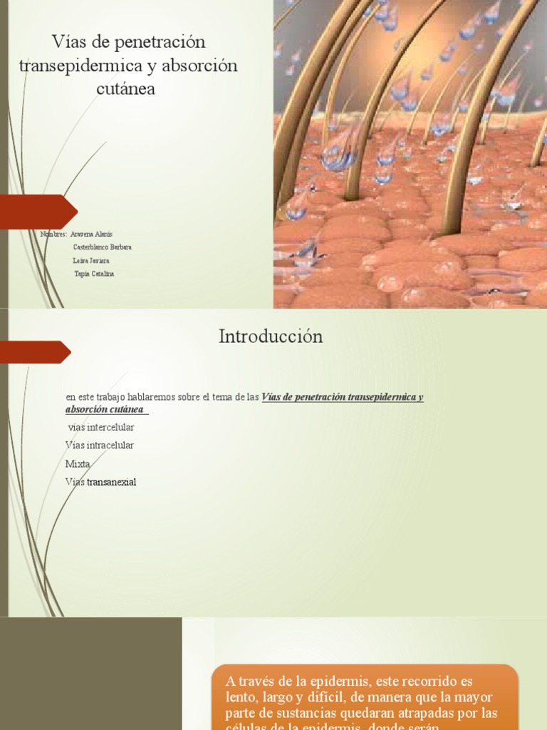 Vías de penetración cutánea y factores que influyen en la absorción ...