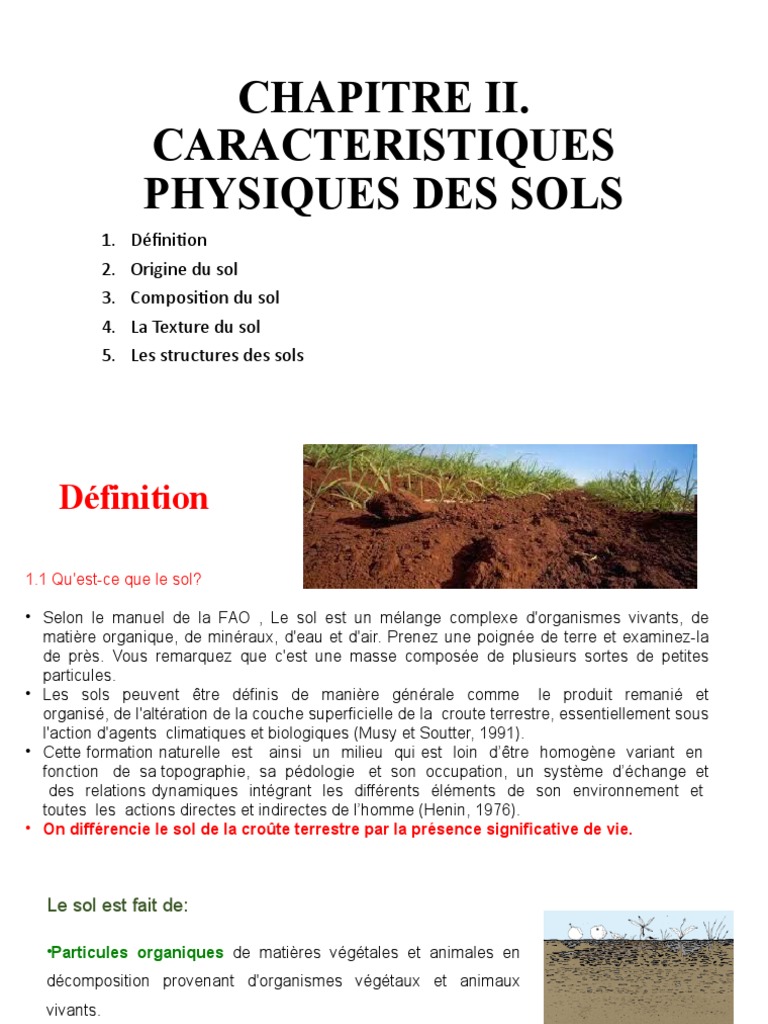 Chapitre 2 Le Sol | PDF | Sol (pédologie) | Alluvion