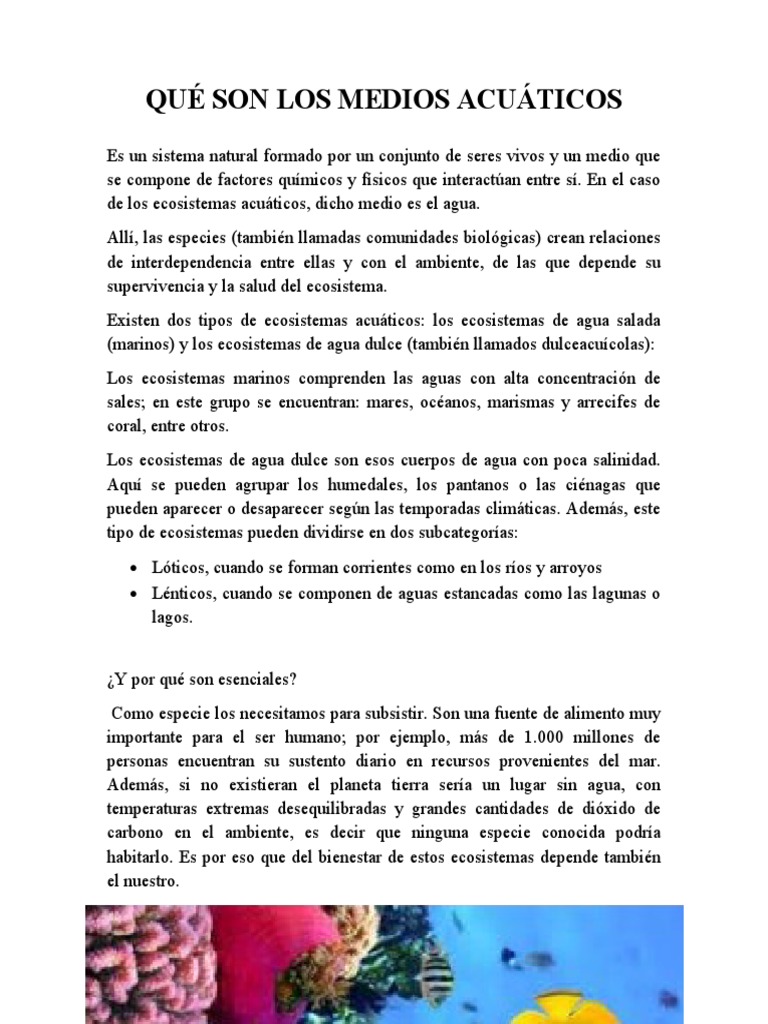 Qué Son Los Medios Acuáticos | PDF