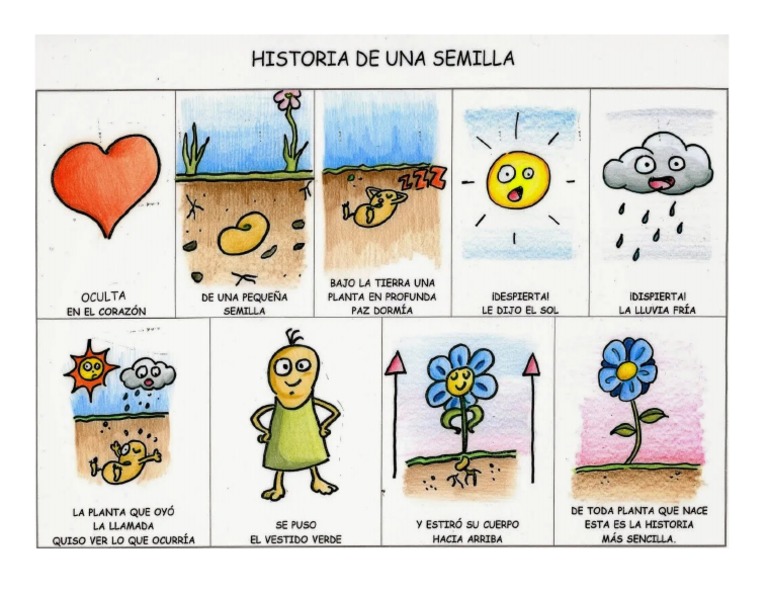 Cuento La Semilla | PDF