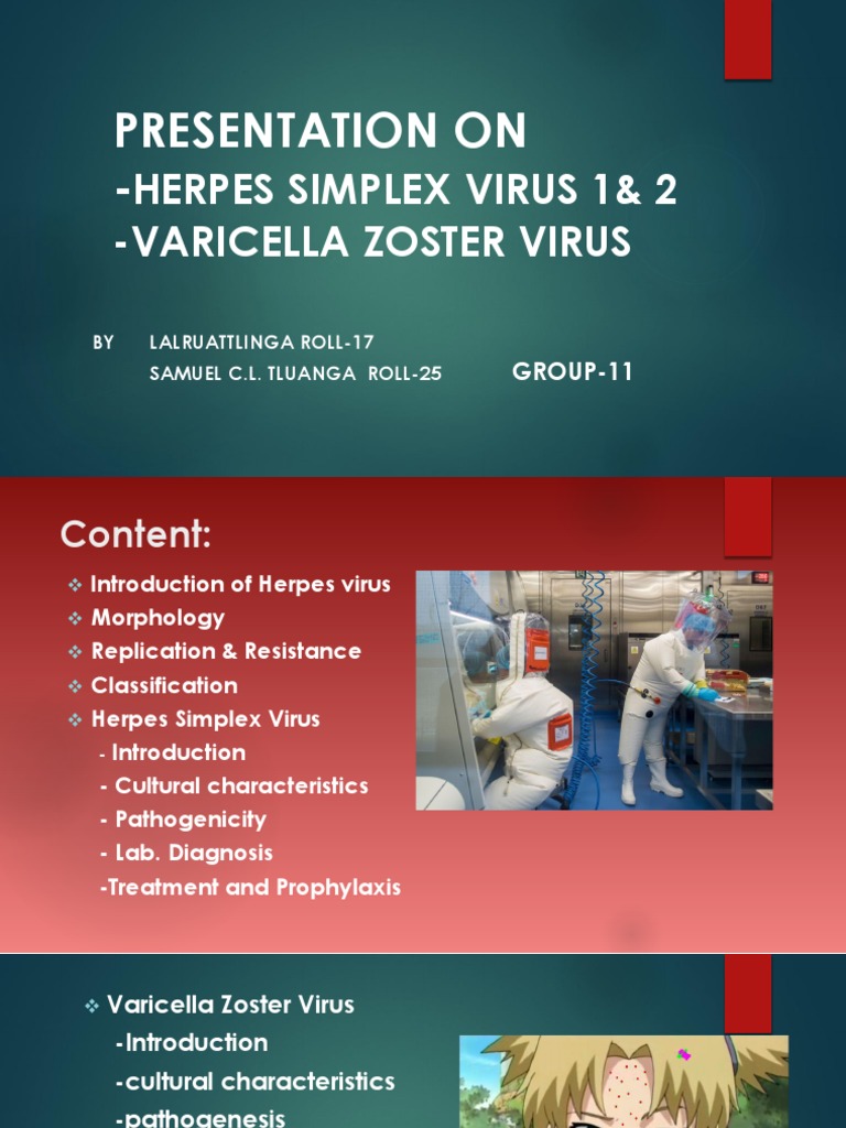 Herpes | PDF | Herpes Simplex | Virus