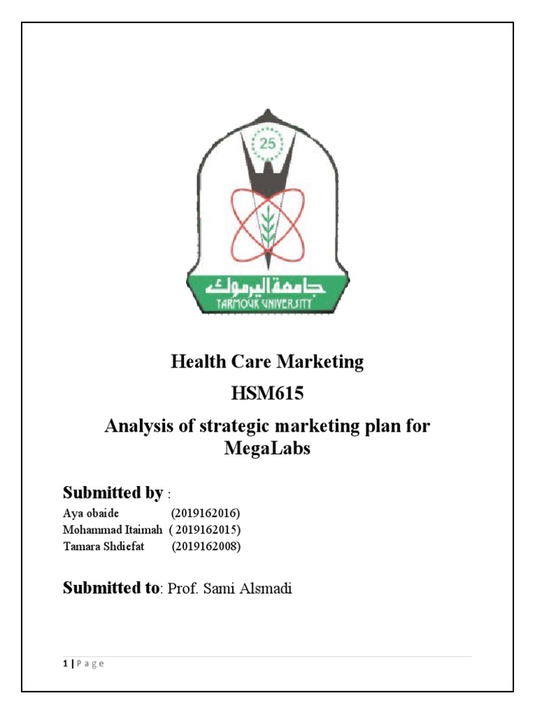 Final Copy - Analysis of Marketing of The Strategic Plan For MegaLabs ...