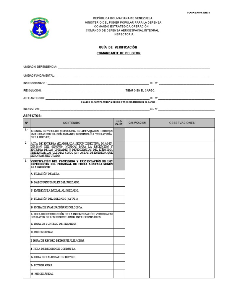 Guia de Inspeccion Cmdte de Peloton | PDF | Personal (militar)