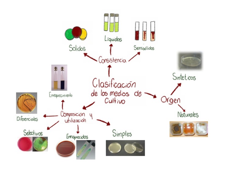 Clasificacion de Medios de Cultivo | PDF