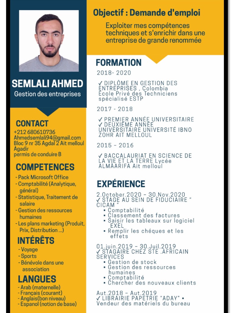 Copie de CV Ahmed 01 | PDF