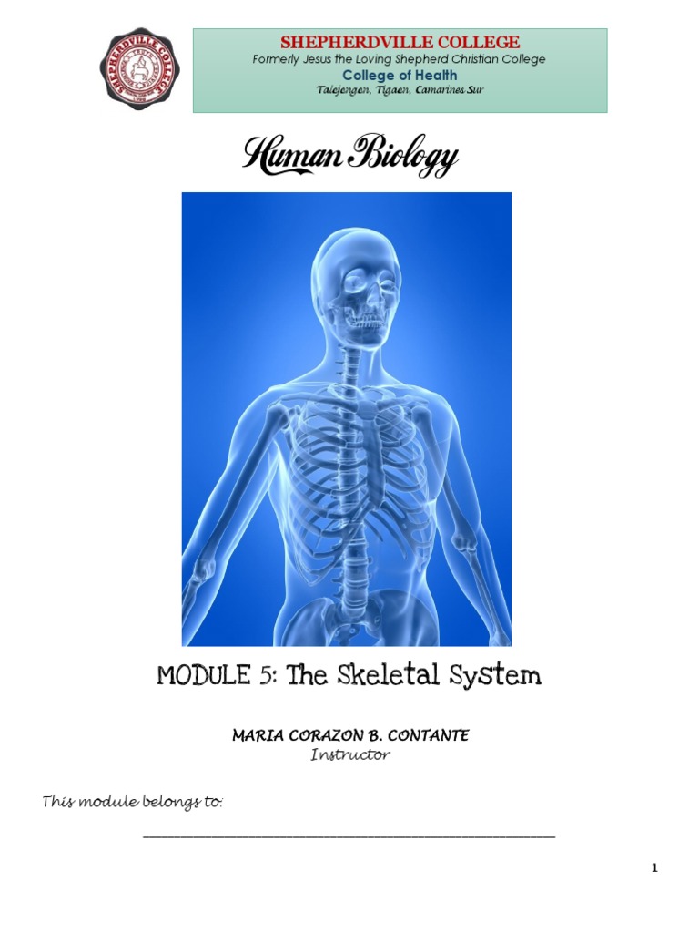 Module-5-The Skeletal System | PDF | Bone | Osteoblast