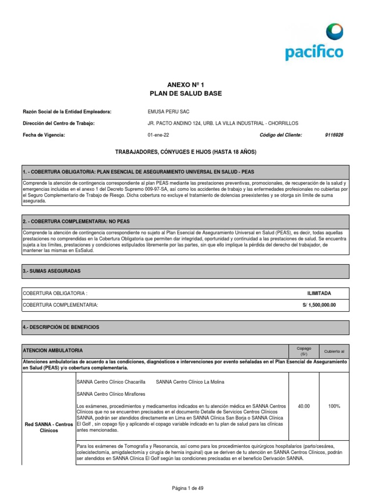 Emusa Peru Sac - Plan Ad. 1 2022 | PDF | Lima | Aplicación movil