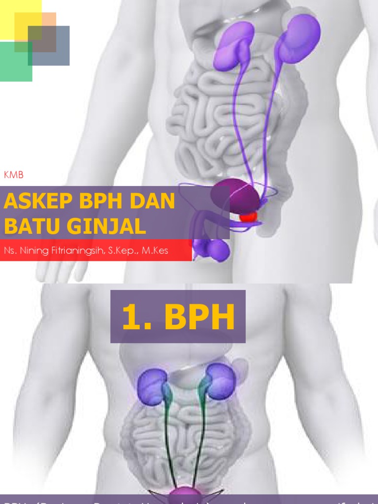 Askep BPH Dan Batu Ginjal | PDF