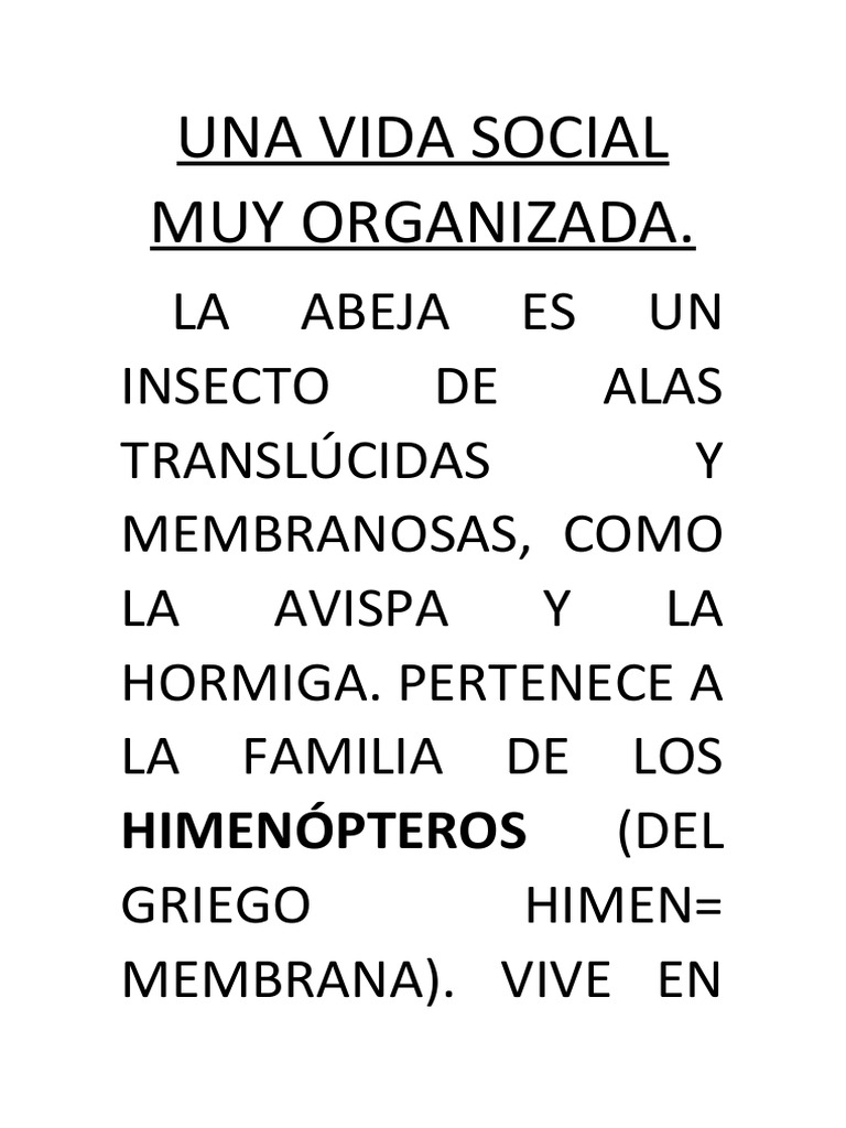 Una Vida Social Muy Organizada | PDF | Colmena | Abejas
