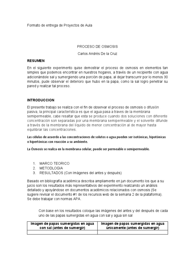 Formato de Entrega de Proyectos de Aula | PDF