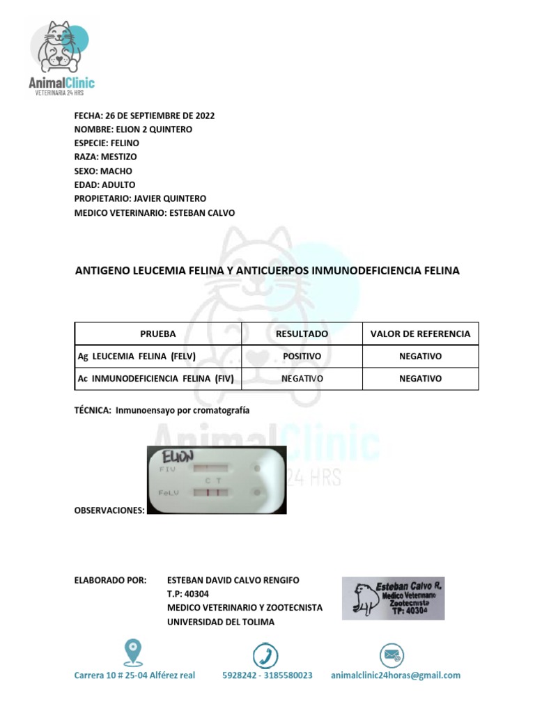 Prueba Sida y Leucemia Felinos Elion 2 Quintero | PDF | Relaciones ...