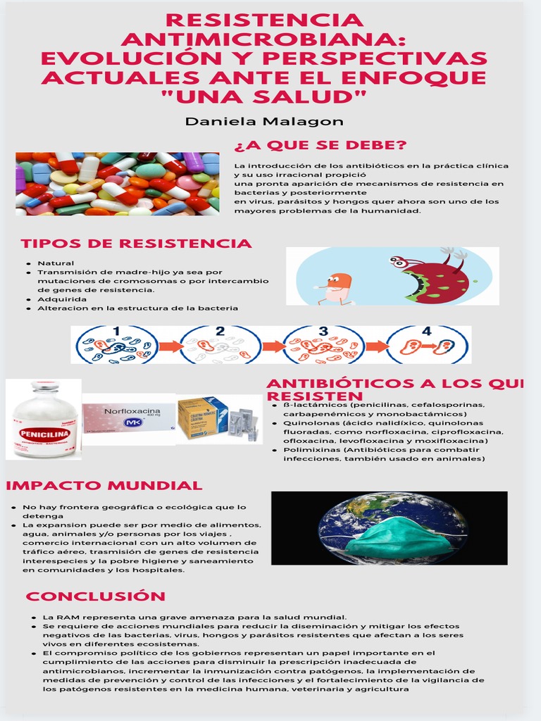 Infografia Resistencia Antimicrobiana PDF | PDF | Antimicrobiano | Resistencia antimicrobiana