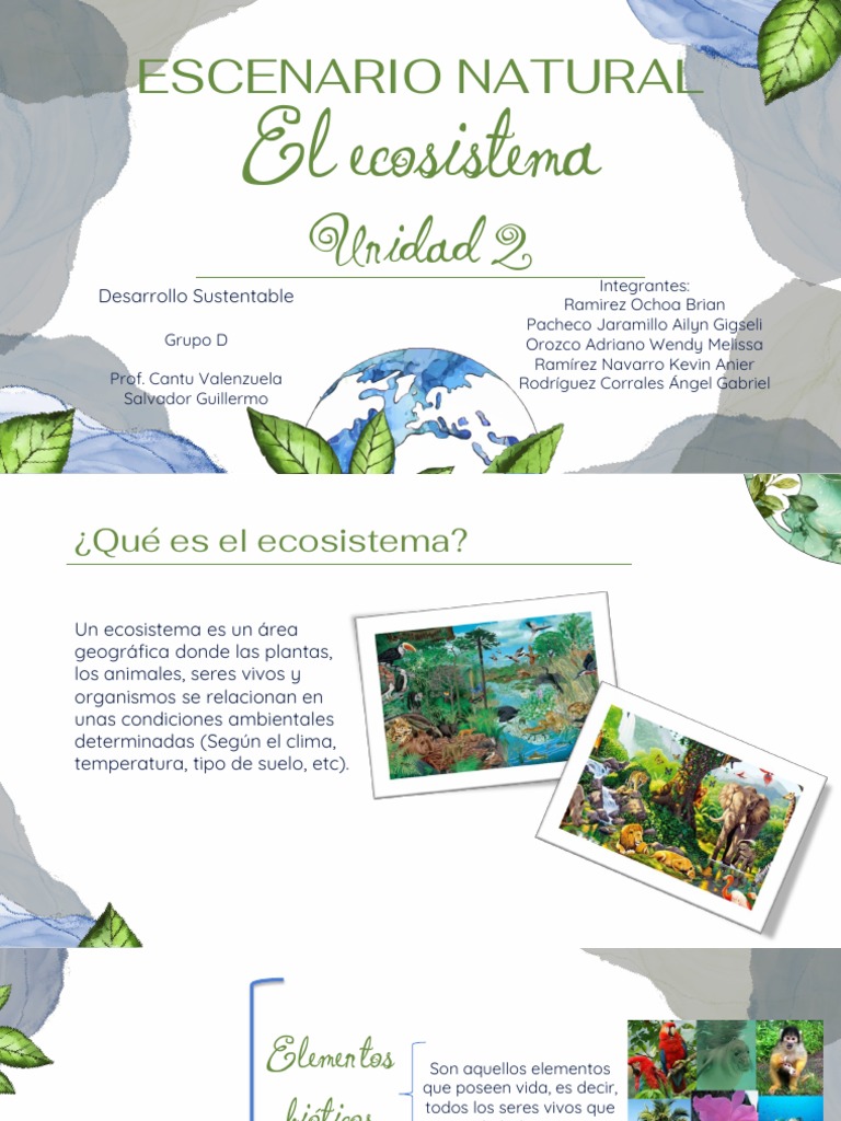 Exposicion Sobre El Ecosistema | PDF | Ecosistema | Organismos