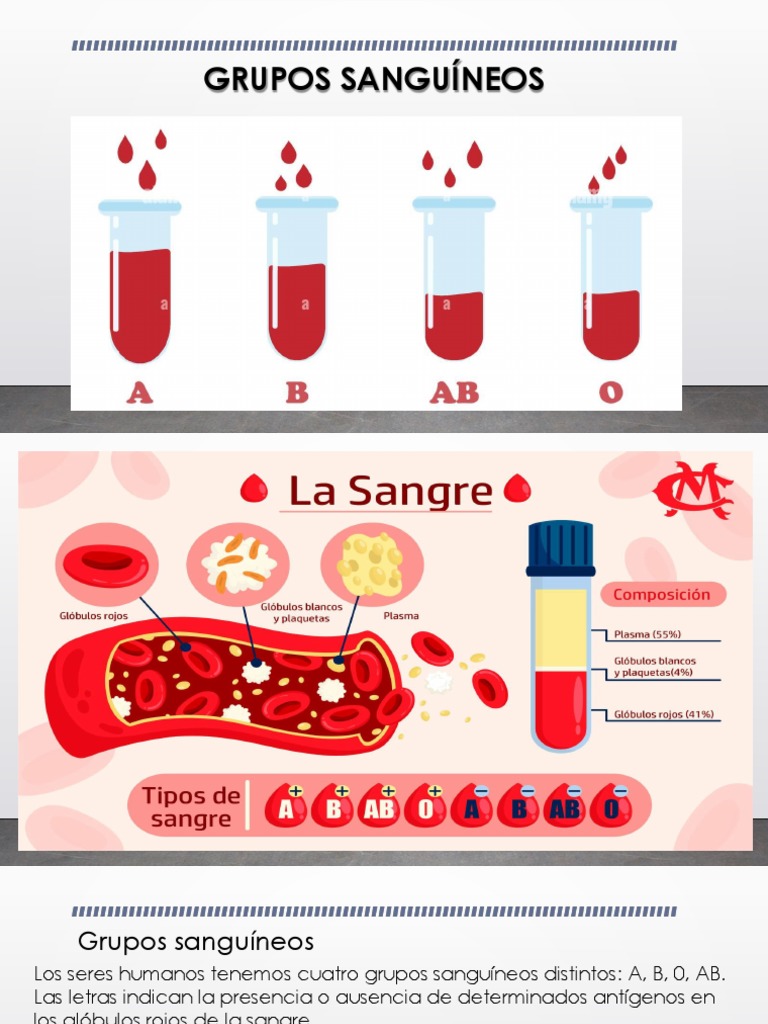 Grupos Sanguineos | PDF | Tipo de sangre | Medicina