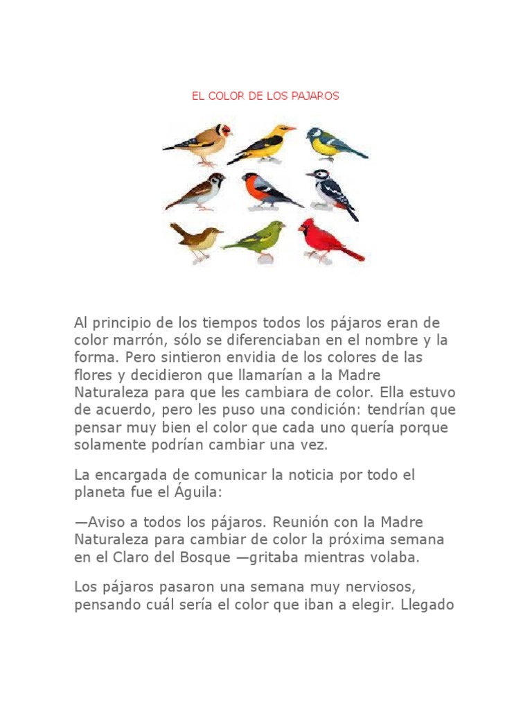 El Color de Los Pajaros | PDF | Color | Aves