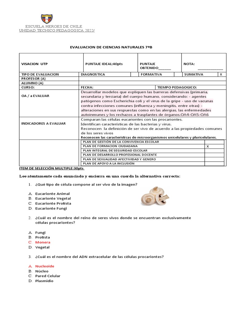 Evaluacion Sumativa de Microorganismo y Mas 7mo B Oa4,5,6 Jueves Octubre 2022 | PDF | Biología ...
