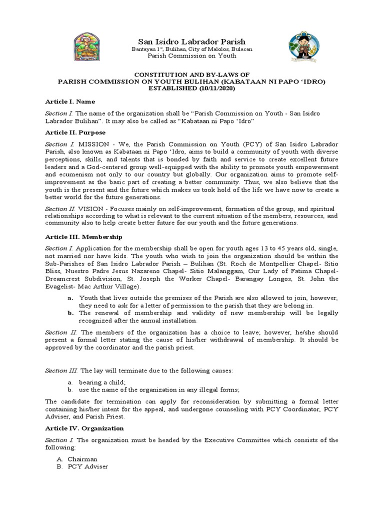 Youth Commission Constitution - Bulihan | PDF