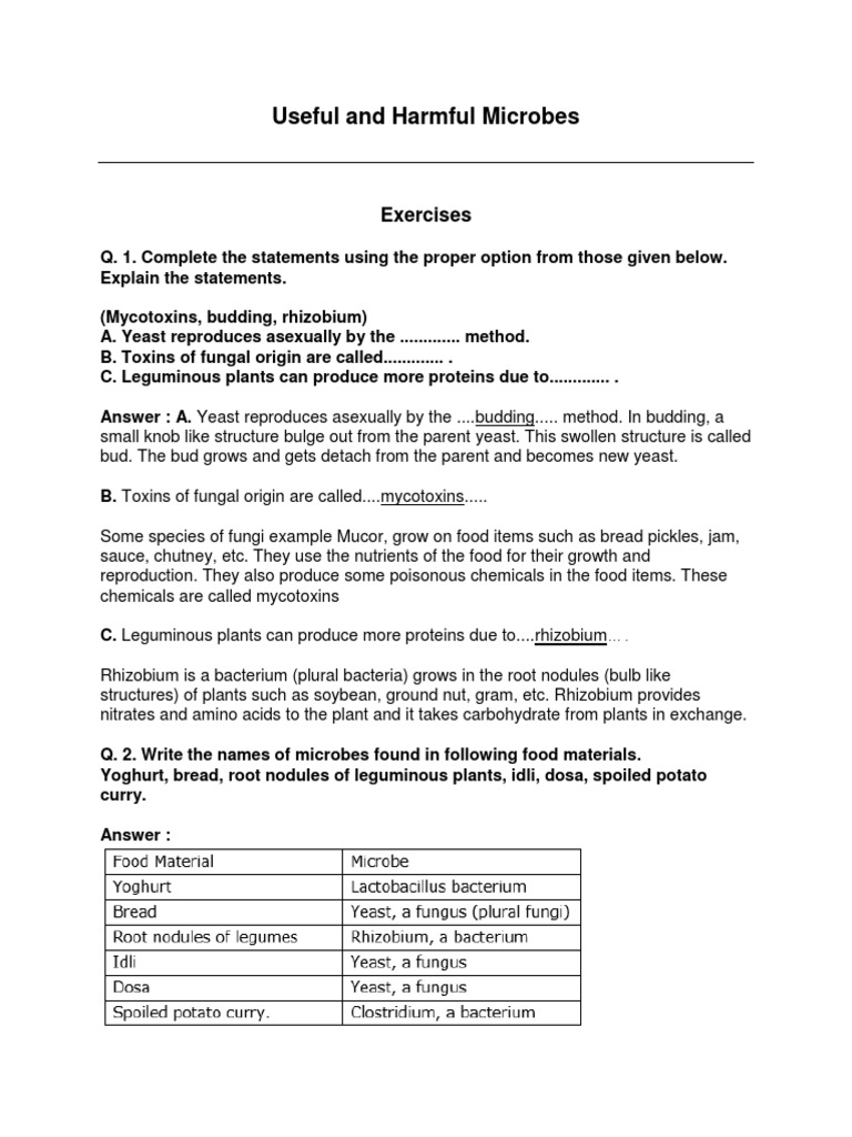 Biology Chapter 8 | PDF | Vaccines | Bacteria