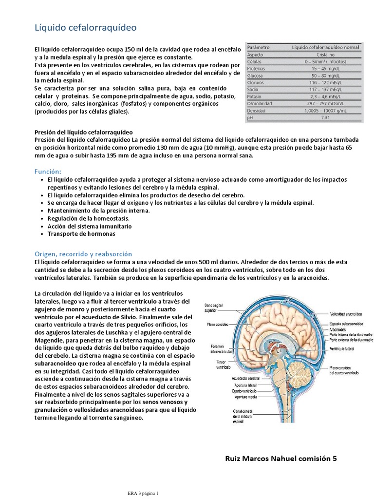 Líquido Cefalorraquídeo Ruiz Marcos Nahuel | PDF | Fluido cerebroespinal | Anatomía