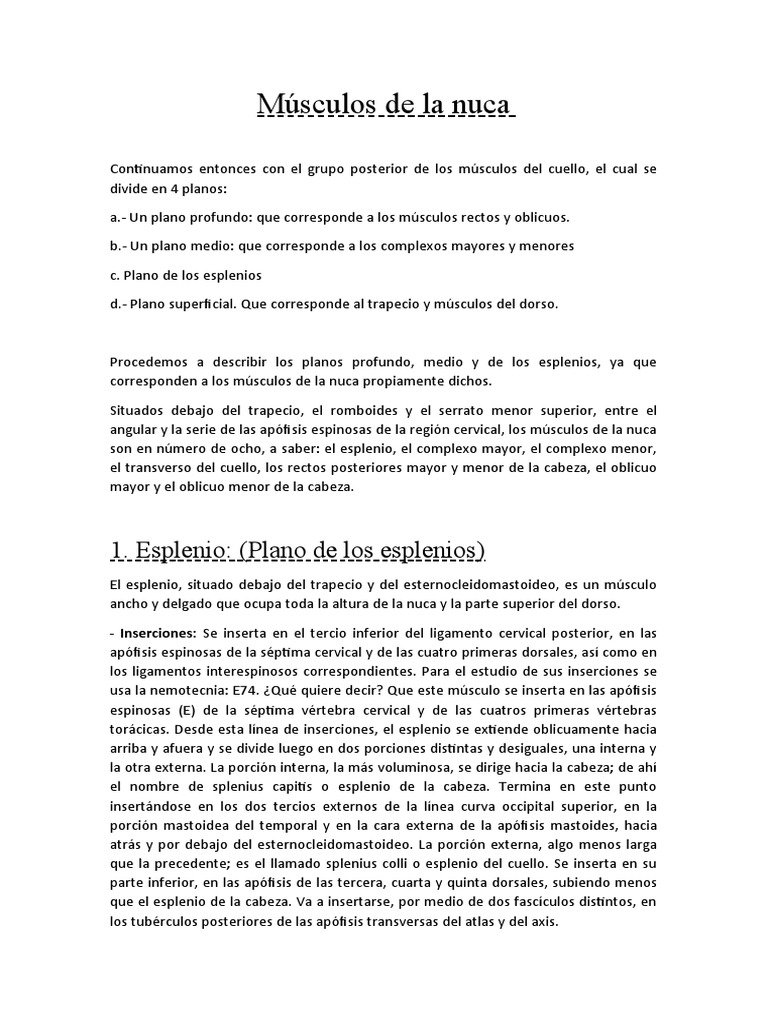 Músculos de la Nuca: Anatomía y Función | PDF | Anatomía | Sistema ...