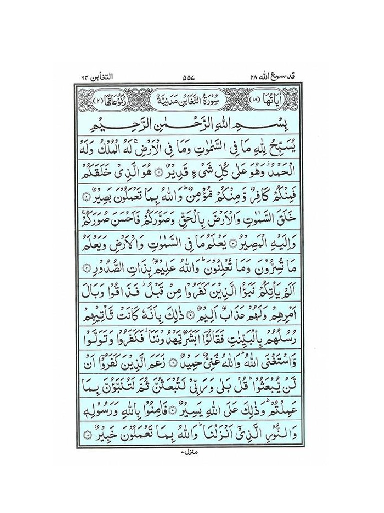 Surah Al Taghabun | PDF