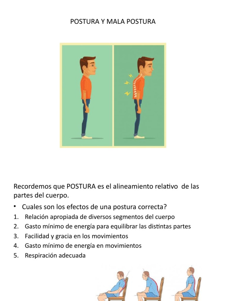 Postura y Malas Posturas | PDF | Sistema nervioso | Anatomía