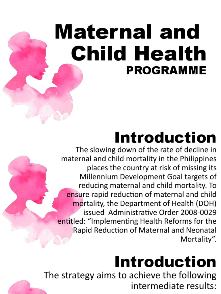 Maternal and Child Health Program Overview | PDF