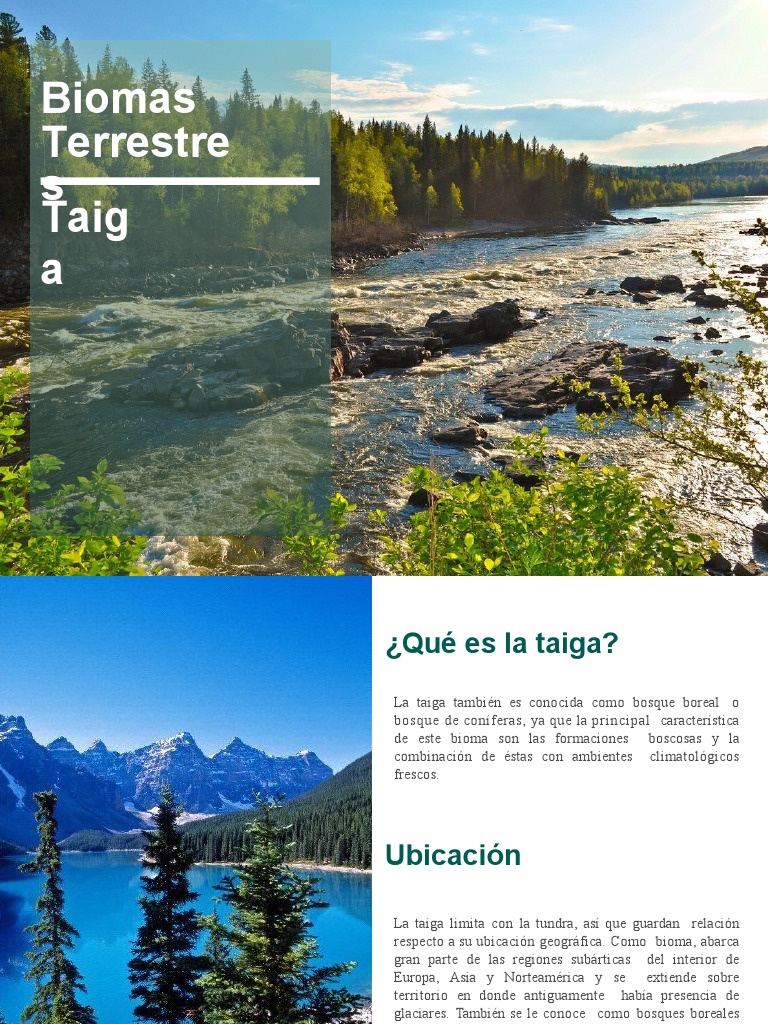 Bioma Taiga | PDF | Clima | Ciencias de la Tierra
