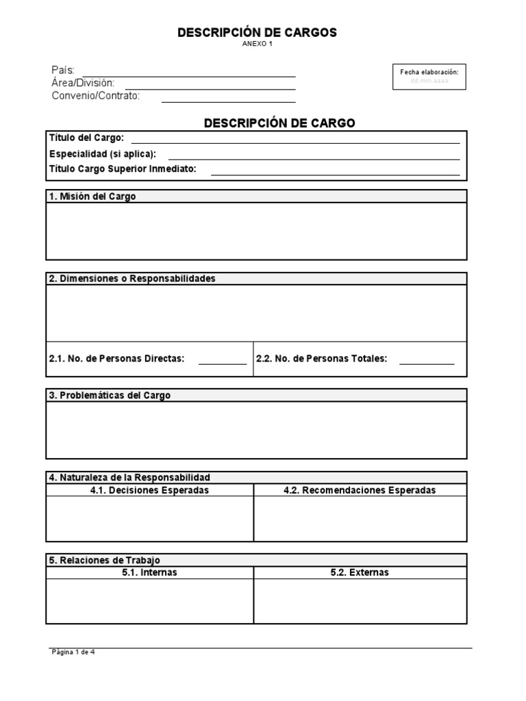 Formato Descripcion de Cargos | PDF