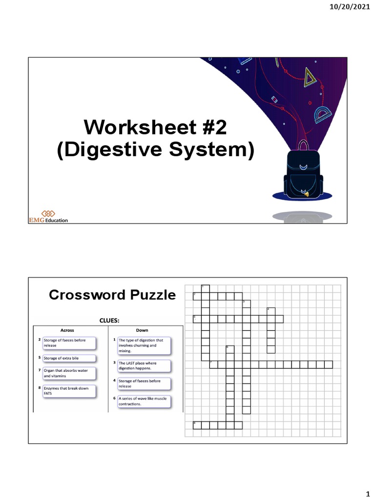 Worksheet #2 - Digestion | PDF