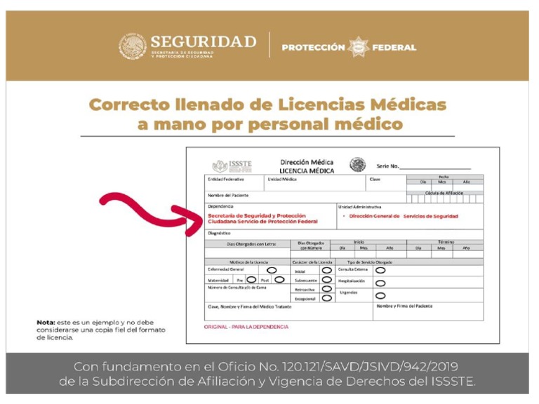Correcto Llenado de Licencia Medica | PDF