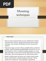 Mouse Dissection Guide: Anatomy Steps | PDF | Kidney | Liver