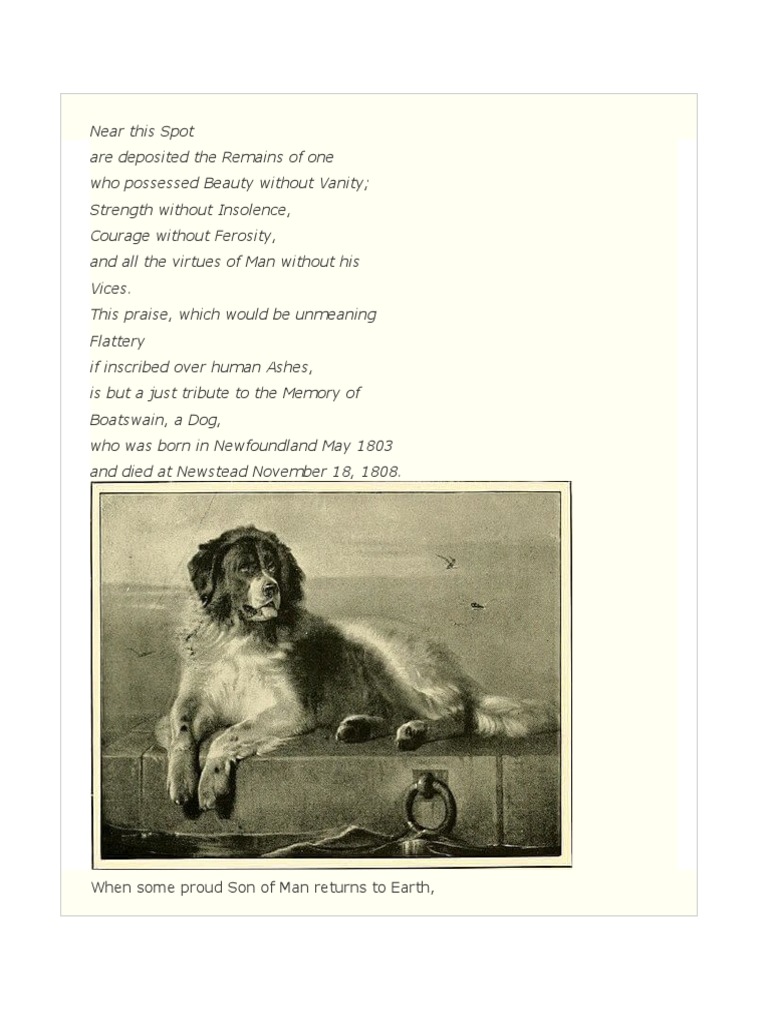 Dogs Tale | PDF