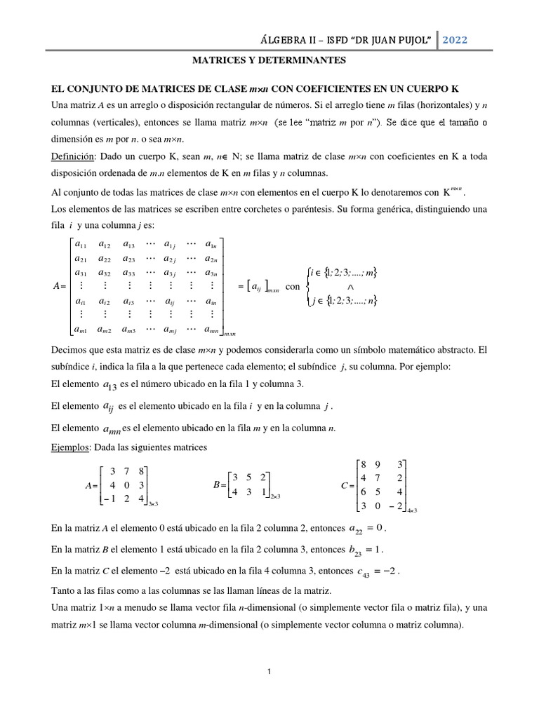 Matrices y Determinantes-2 | PDF | Matriz (Matemáticas) | Determinante
