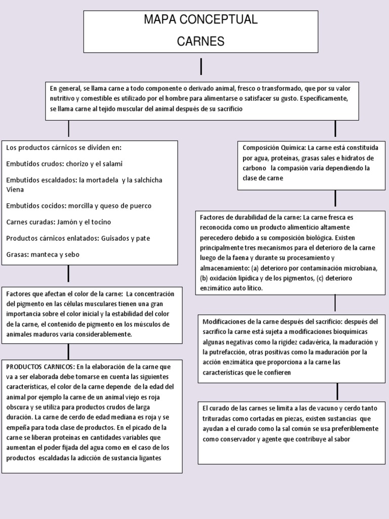 Mapa Conceptual de Productos Cárnicos | PDF | Carne | Alimentos
