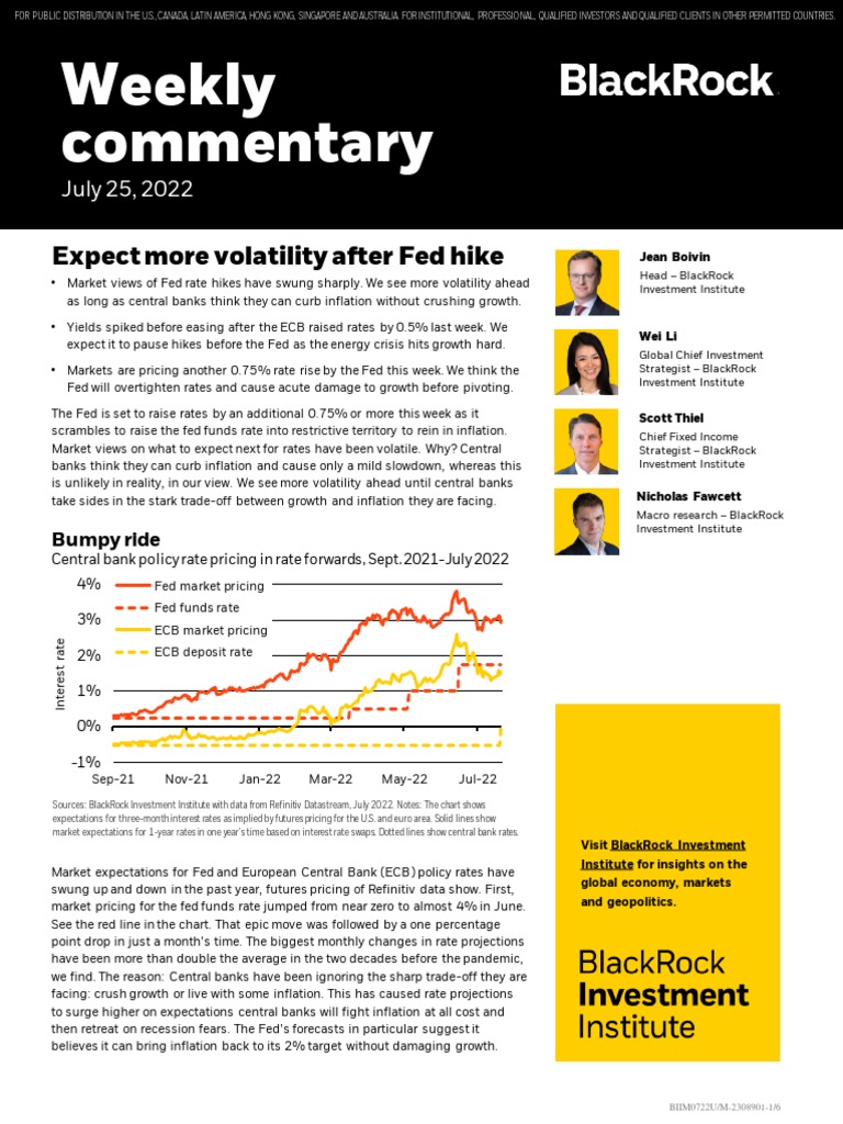 BlackRock Weekly Commentary 25th of July 1658849006 | PDF | Inflation ...