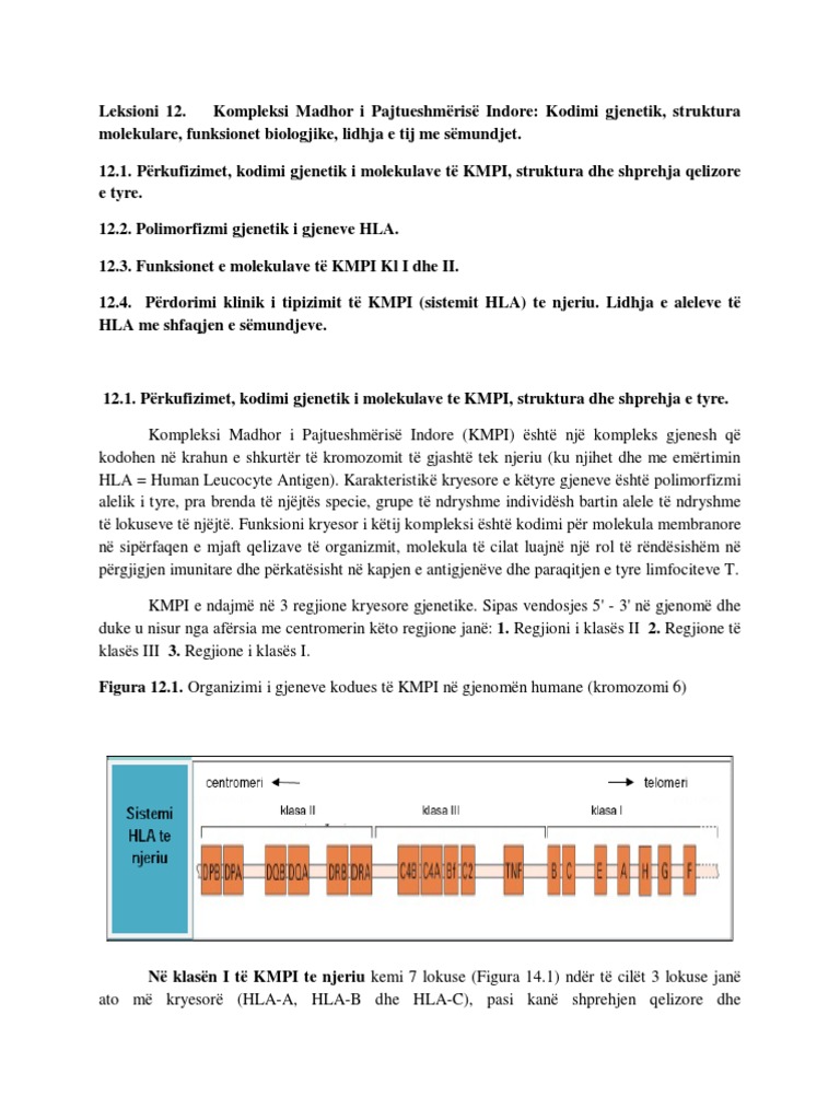 12.Leks.12.Sistemi HLA, Struktura, Funksioni | PDF