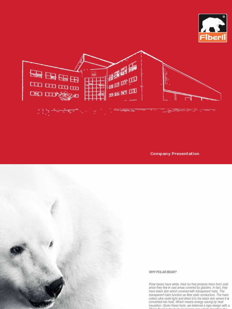 Fiberli-by-PSL-Company Introduction 2kmZ2Ad YtgB66I | PDF | Lighting ...