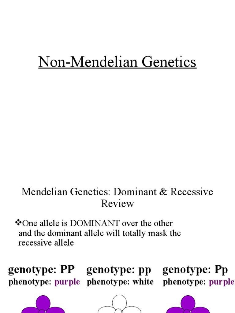 Non-Medelian - Genetics Tunay | PDF | Dominance (Genetics) | Genotype