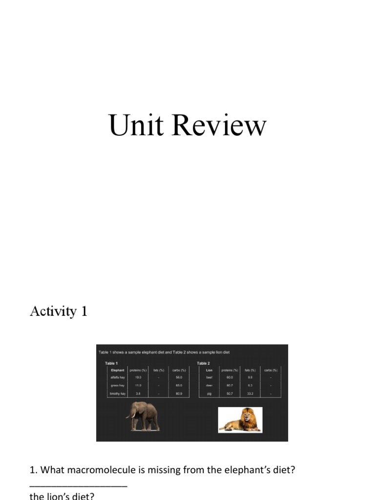 Unit Review | PDF | Macromolecules | Proteins