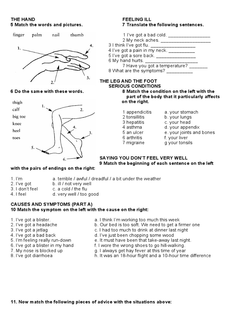 English Vocabulary - Health and The Body 2 | PDF | Clinical Medicine ...