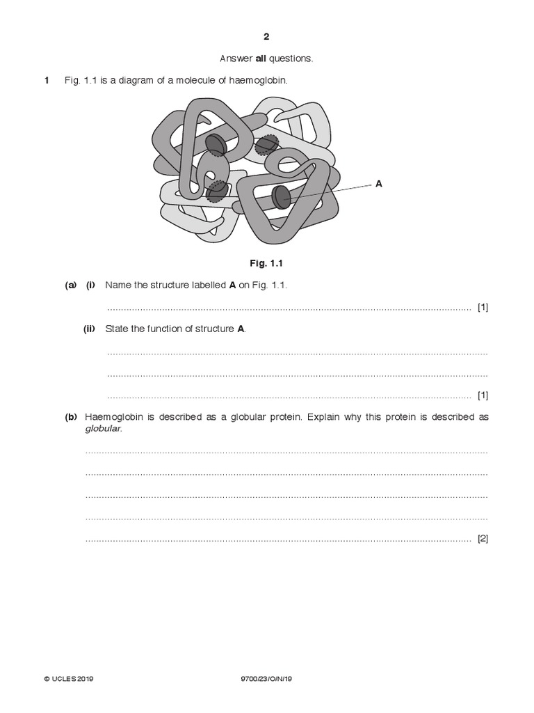 11 9700 23 2019 165347.indd | PDF | Hemoglobin | Nutrients